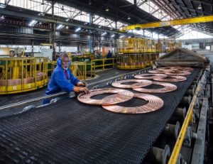 Copper Coils & Tubes Supplier in the UAE | TTE